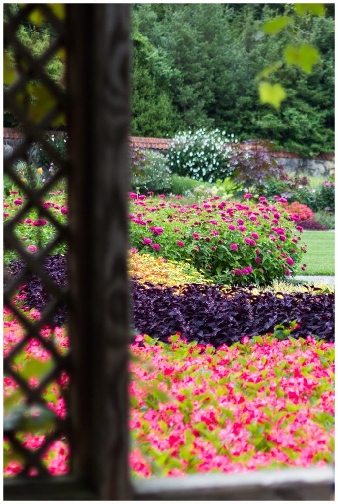 Bristol, TN | Pre-Honeymoon - Stacy Kamler Photography