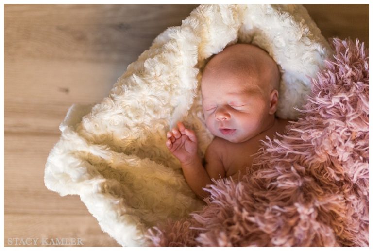 Schuster | Newborn & Big Sister - Stacy Kamler Photography